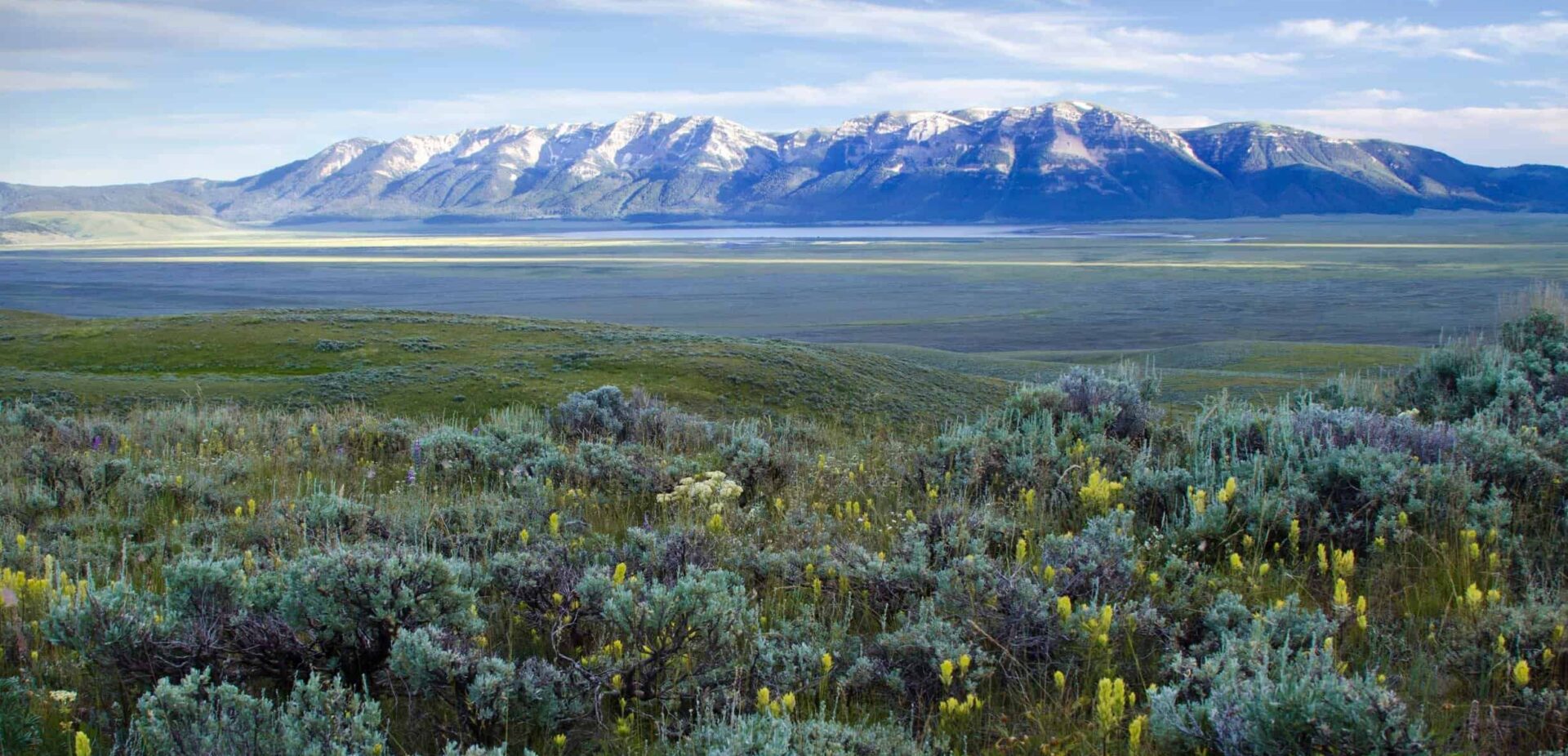 Landscapes | Working Lands For Wildlife
