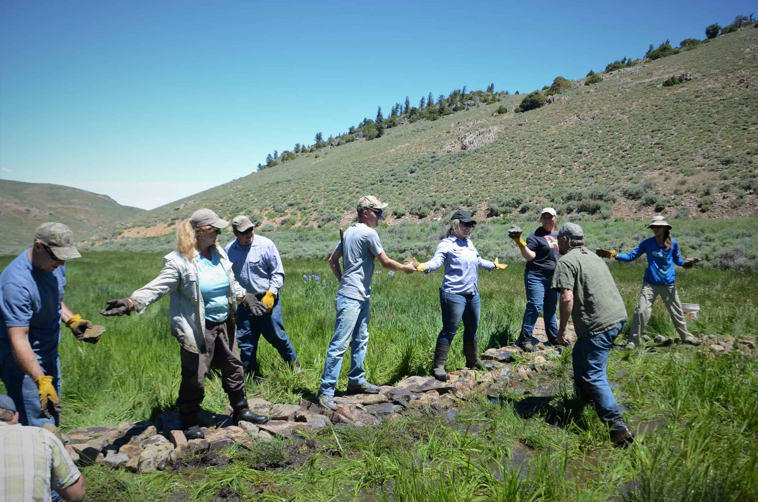 Our Partners | Working Lands For Wildlife