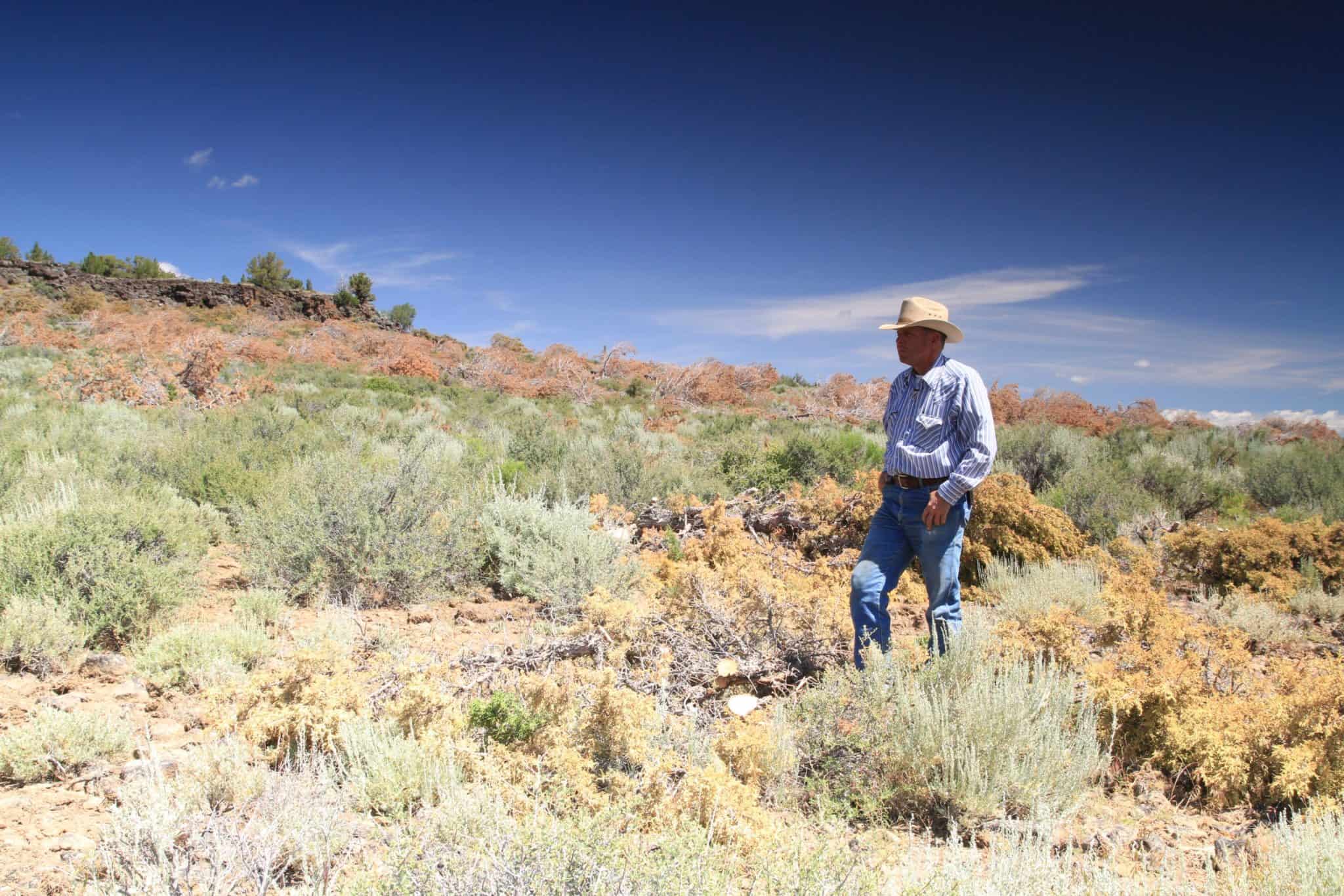 Our Partners | Working Lands For Wildlife