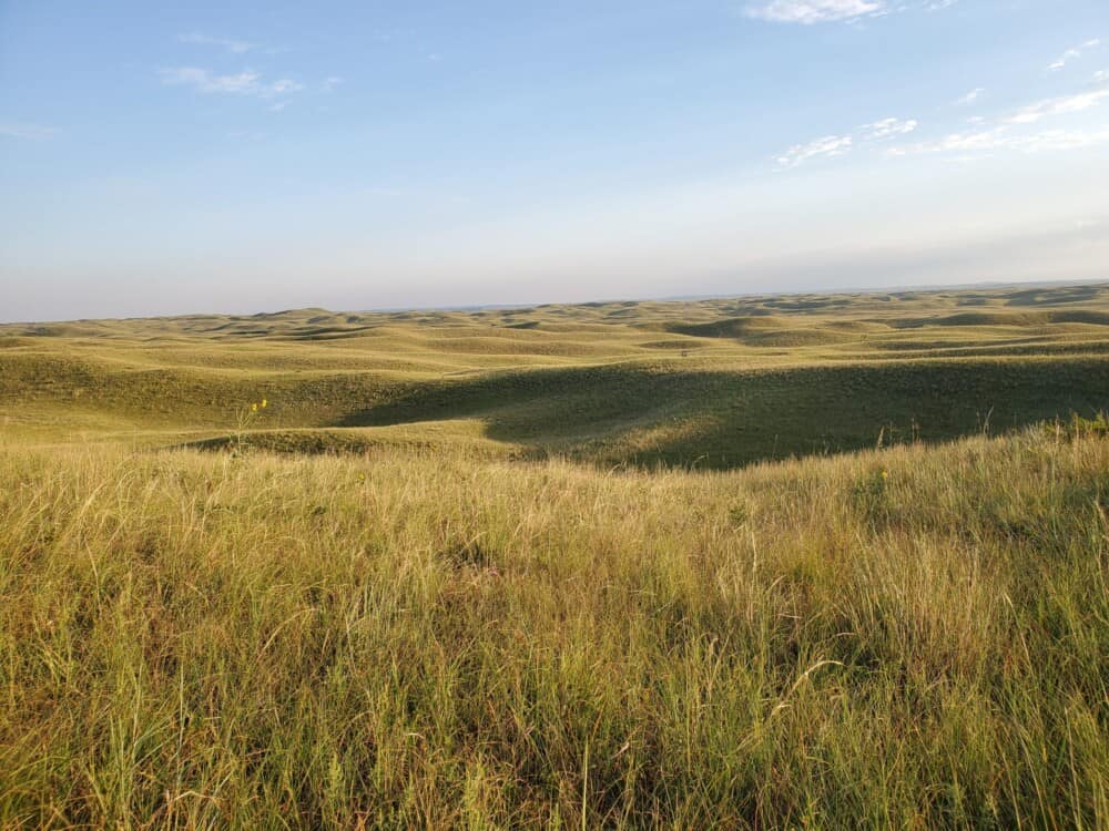 America's Last Great Grasslands | Working Lands For Wildlife