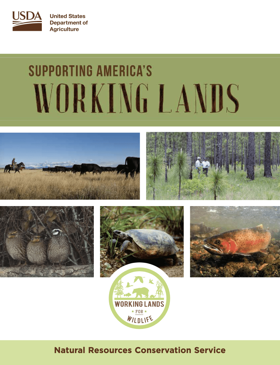 How We Work | Working Lands For Wildlife