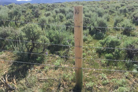 Making Fences Friendlier for Ranchers and Wildlife | Working Lands For ...