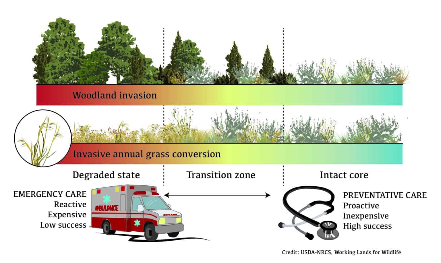 From Bird To Biome: Keeping the range intact for wildlife and people ...