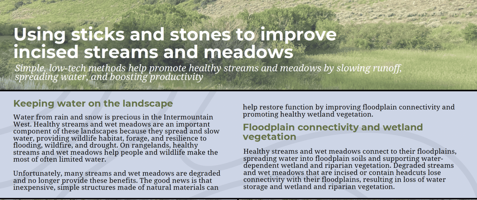 Water Is Life: SGI's Mesic Habitat Conservation Strategy | Working ...