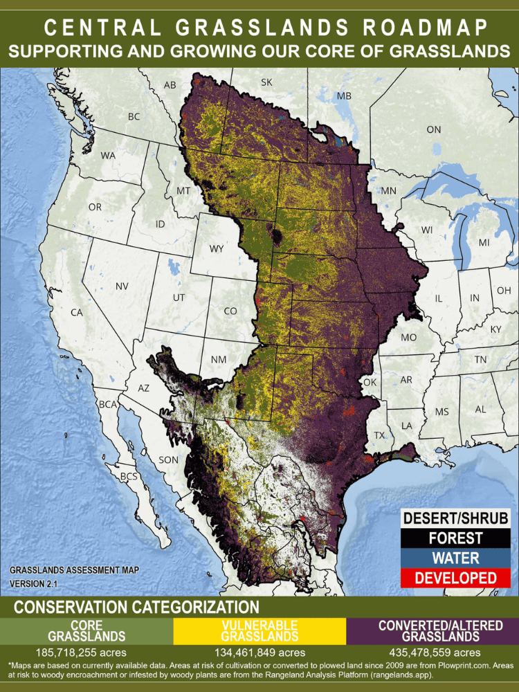 America's Last Great Grasslands | Working Lands For Wildlife