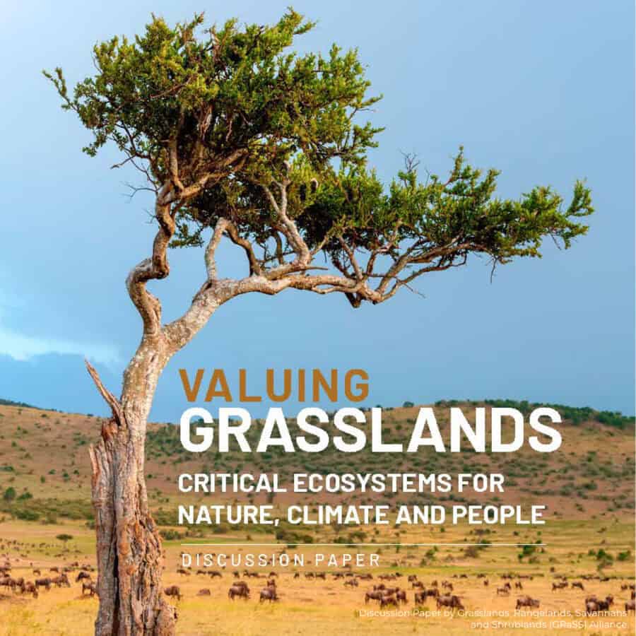 America's Last Great Grasslands | Working Lands For Wildlife