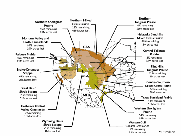 America's Last Great Grasslands | Working Lands For Wildlife
